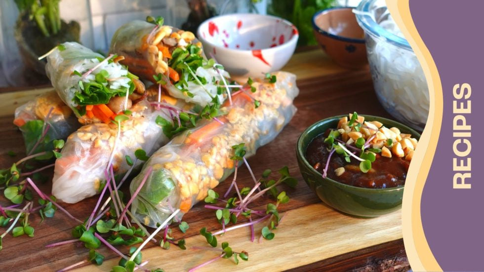 Thai Basil Recipe: Summer Rolls With Fresh Home Grown Herbs – Urban Leaf