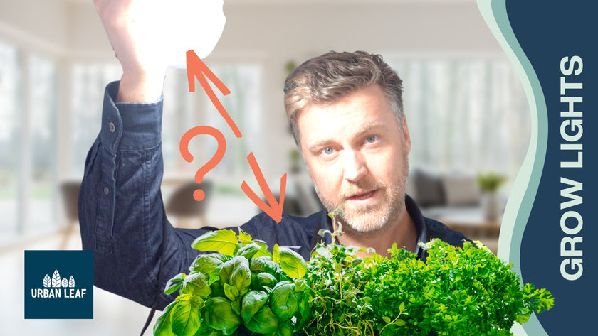 LED Grow Light Distance Chart From Plants. How Far Should Grow Lights ...