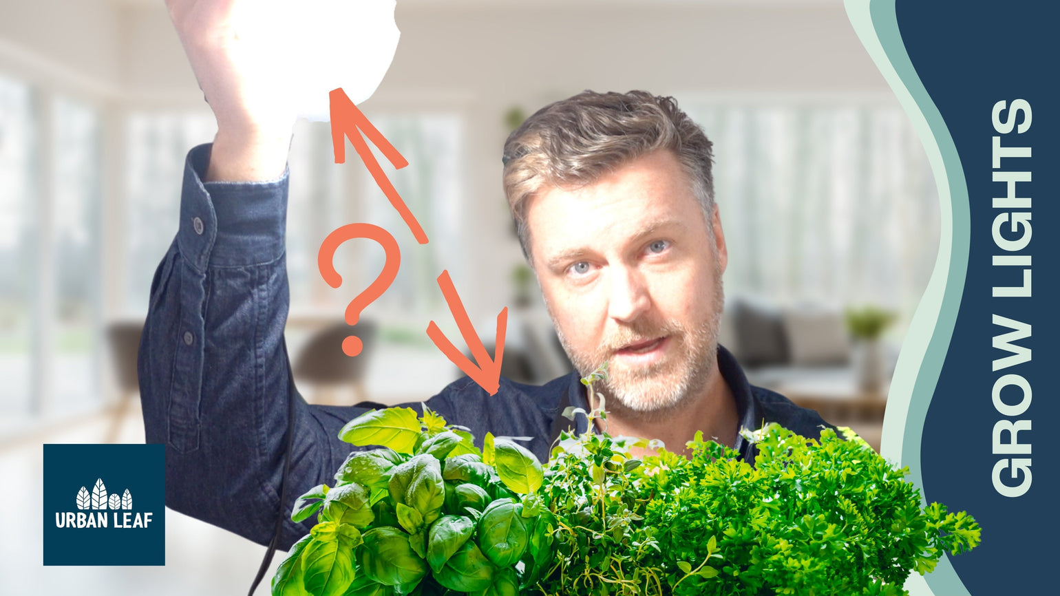 LED Grow Light Distance Chart From Plants. How Far Should Grow Lights ...