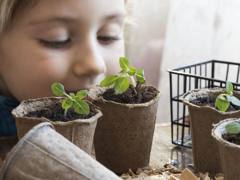 Make Your Lima Bean Science Experiment Fabulous With These Gardening T ...