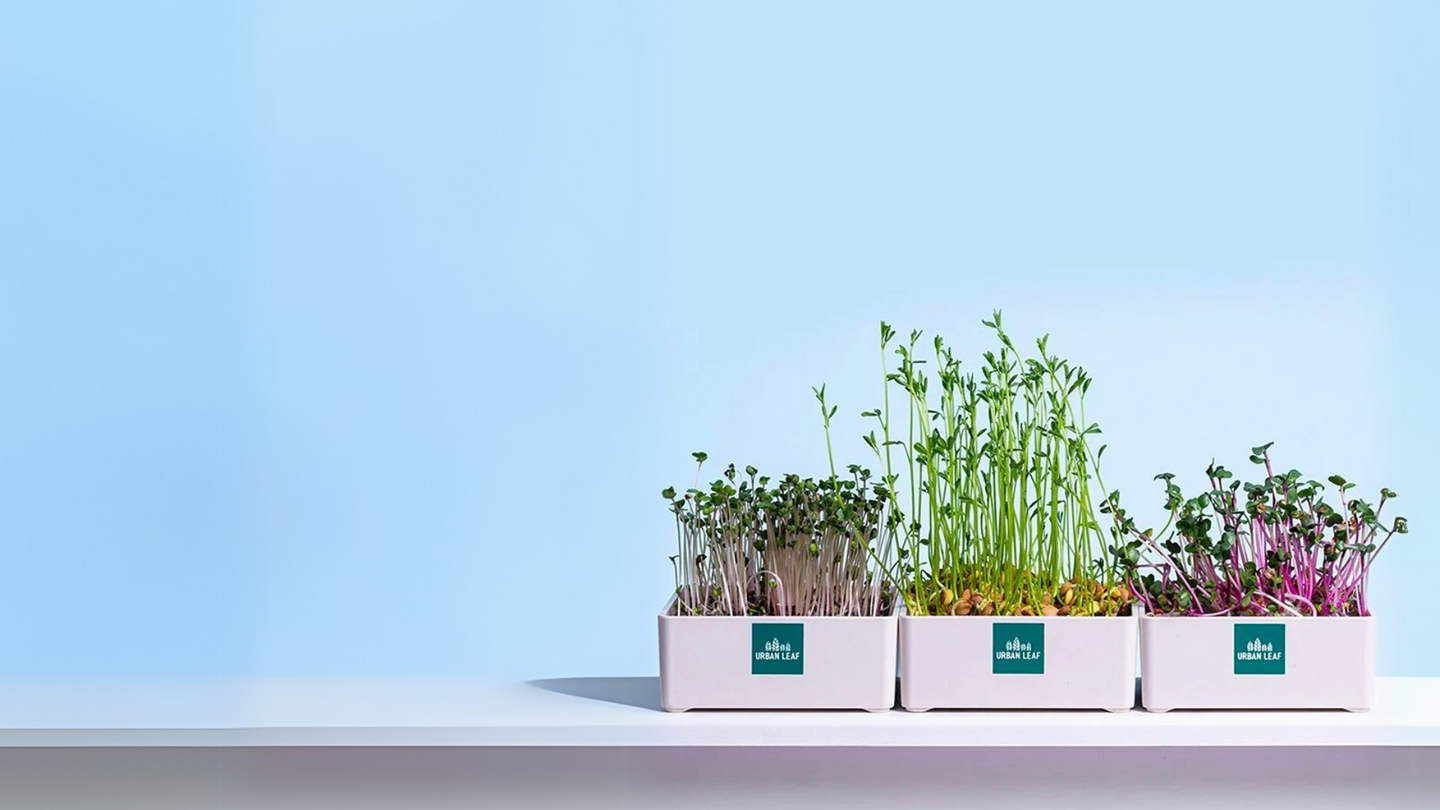 Urban Leaf - Indoor & Urban Gardening Kits and Accessories