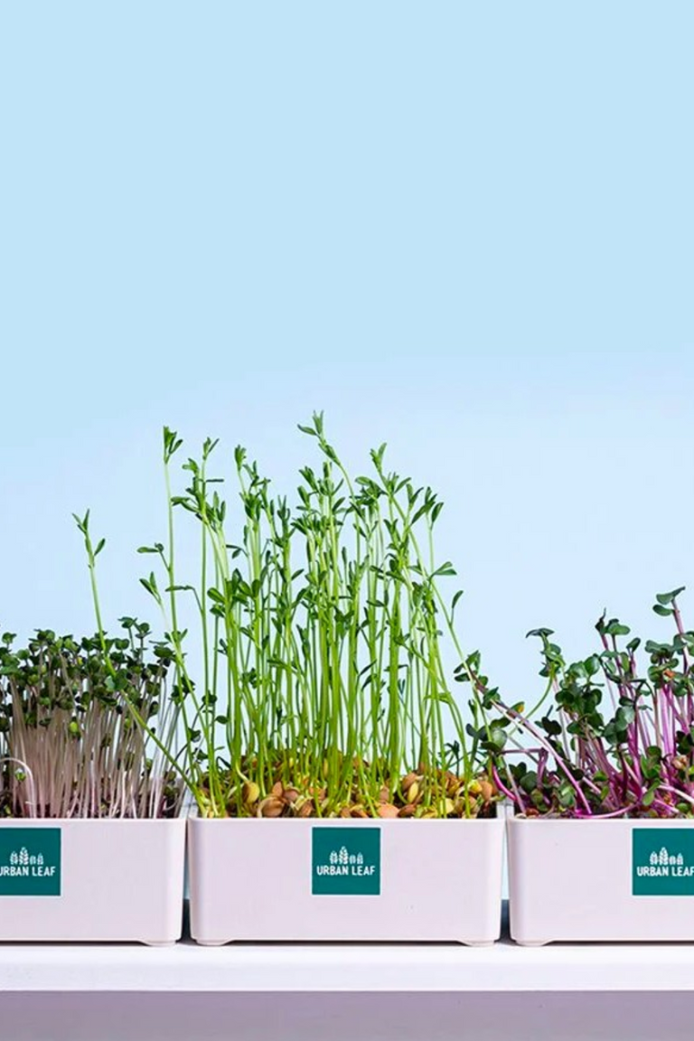 Urban Leaf - Indoor & Urban Gardening Kits and Accessories