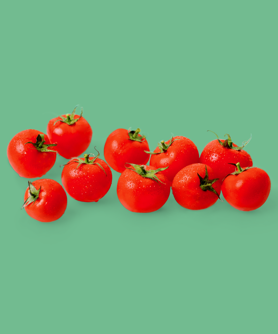 Seeds – Urban Leaf