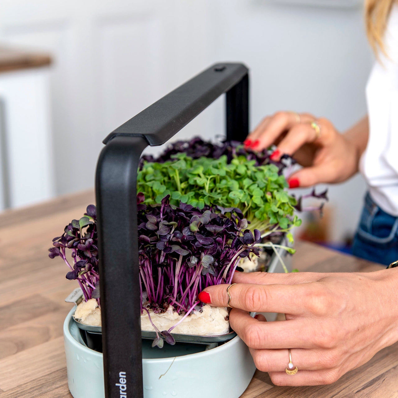 Urban Leaf - Indoor & Urban Gardening Kits and Accessories