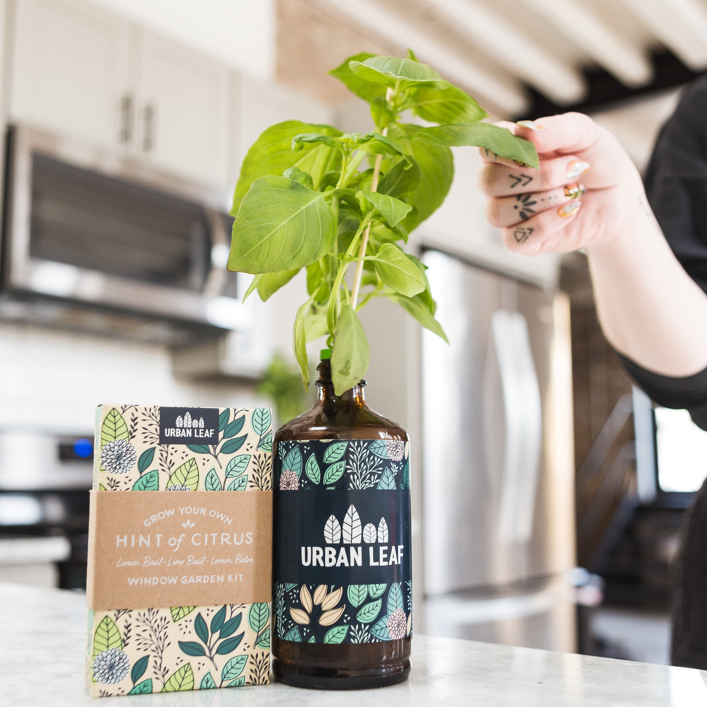 Urban Leaf - Indoor & Urban Gardening Kits and Accessories