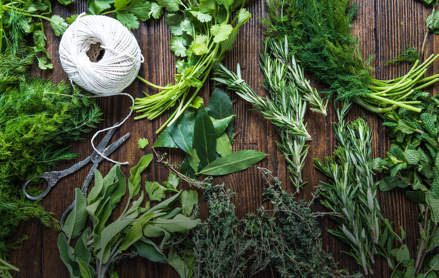 Learn Specific Herbs – Urban Leaf